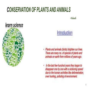 Conservation of plants and animals | PPT