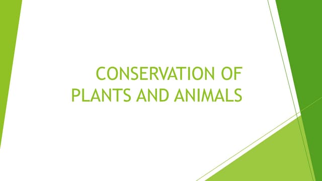 Chapter - 7, Conservation of Plants and Animals, Science, Class 8 | PDF