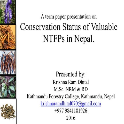 Conservation status vunlerable species of NTFPs/MAPs in Nepal | PPT