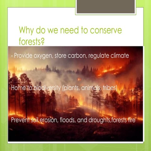 Conserve_Forests_3_Slides new.pptx importance of forests aND ENVIRONMET ...