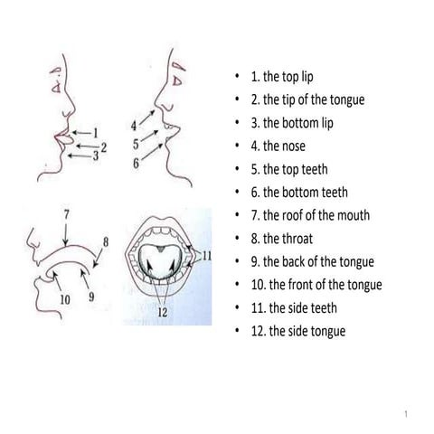 A teaching for consonants pronunciation and practice | PPTX