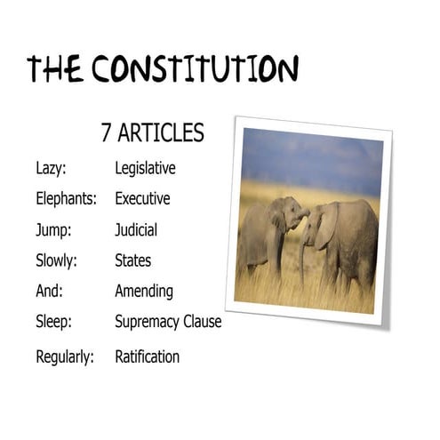 Constitution 2010 Student Handout | PDF
