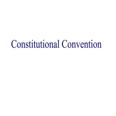 Constitutional convention notes | DOCX