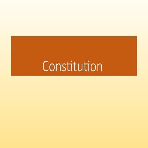 The United States of America Constitution Powerpoint | PPTX