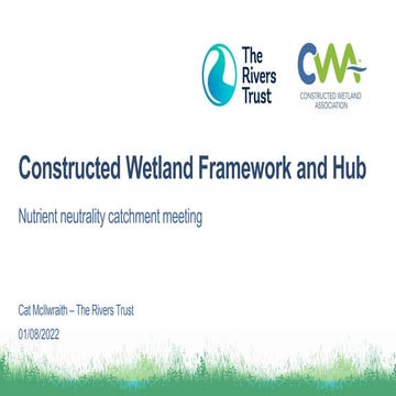 Constructed Wetland Guidance & Hub | PDF