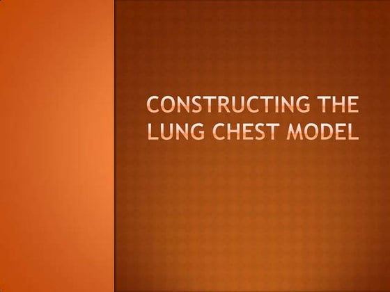 Lung model | PPT