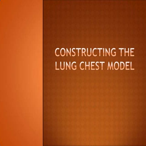 Constructing the lung chest model | PPT