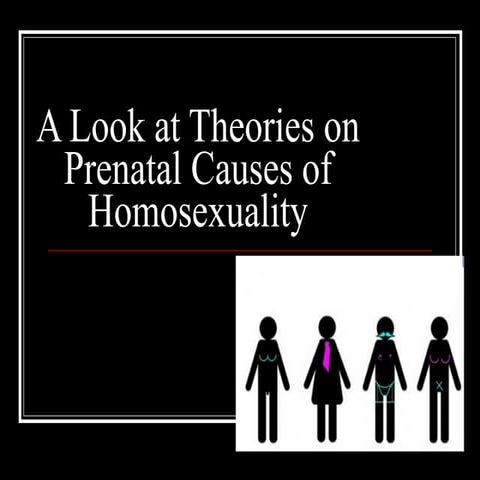 A Look at Theories on Prenatal Causes of Homosexuality | PPT