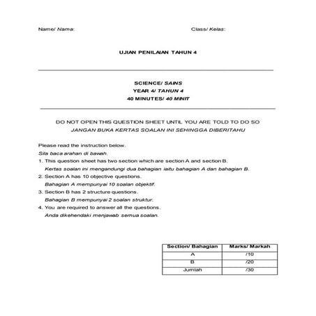 HOTS Questions for Science Year 4 | DOCX