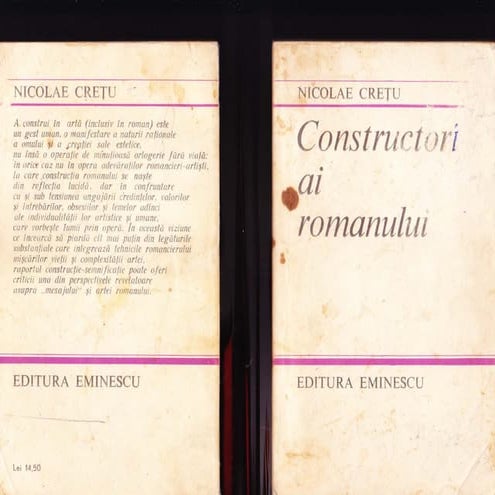 Cretu, Nicolae - Constructori ai romanului | PDF