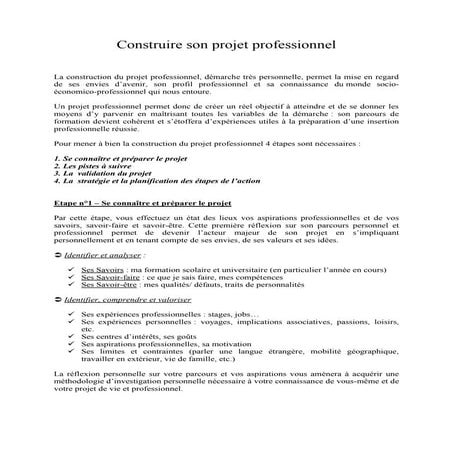 Exemple De Projet Professionnel Personnel Pdf Le