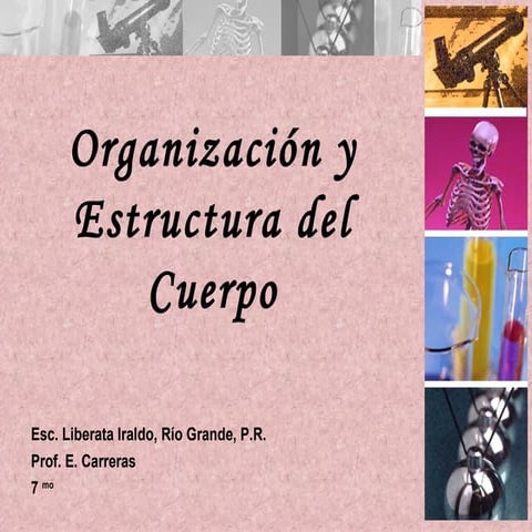 Consuelo | PPT