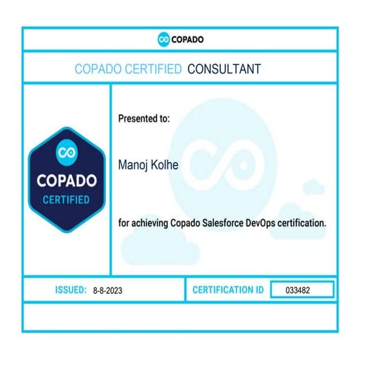 CONSULTANT Certificate.pdf
