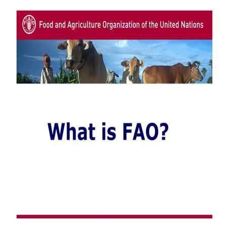 What is FAO? | PDF