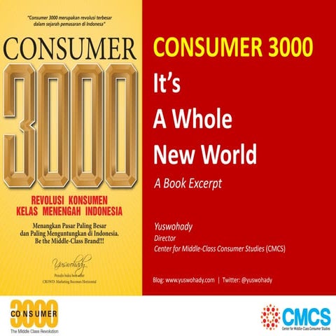 Consumer 3000 - The Book Excerpt | PDF