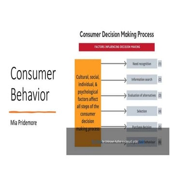 Consumer Behavior: Point Of View | PPT