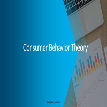 Consumer Behavior Theory-EPelo - Copy.pptx