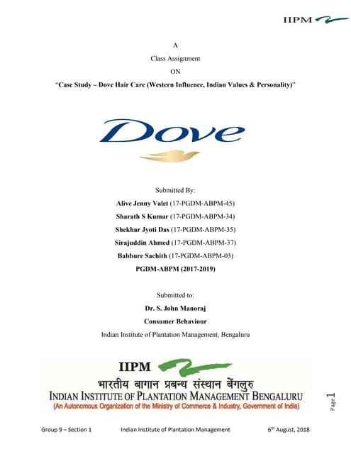 Brand positioning model (Dove case study) | PDF | Skin Care | Beauty