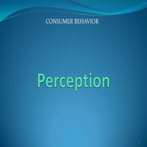 Perception | PPTX