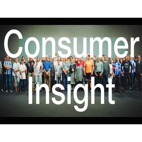 Consumer insight 2019 (pdf) | PDF