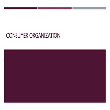 Consumer Organization F&N.pptx for CSECs | PPTX