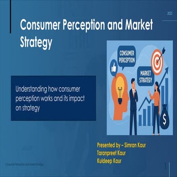 Understanding Consumer Perception and Market Strategy for Effective ...