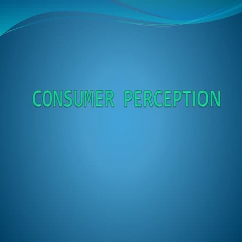 consumer perception study material unit iii.pptx