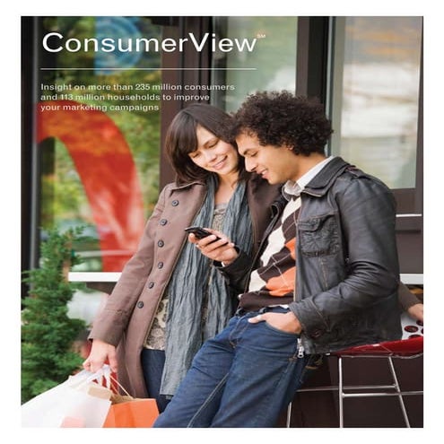 Experian ConsumerView Brochure | PDF