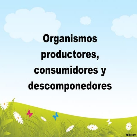 Productores Consumidores Y Descomponedores