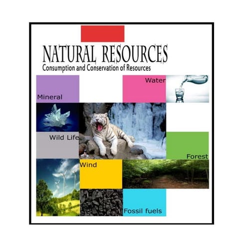 Consumption and conservation of natural resources | DOCX