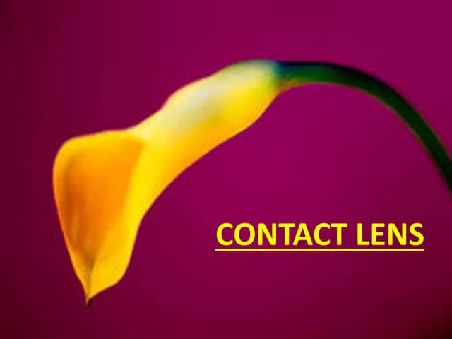 Hard Contact Lenses | PPT