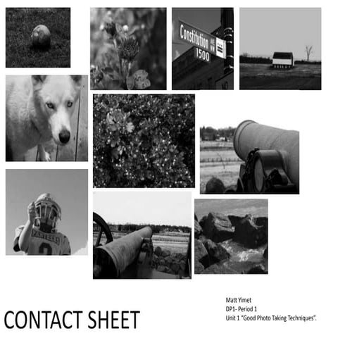 Contact sheet | PPTX