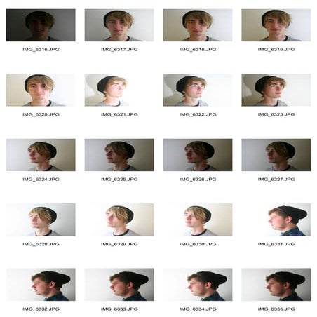 Contact sheet | PDF