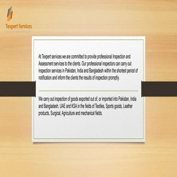 Texperts Services | PPTX