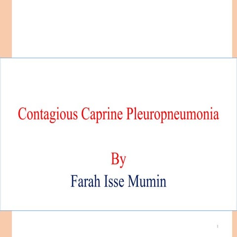 Contagious caprine pleuropneumonia (Xanuunka Sanbabka ariga) | PPTX ...