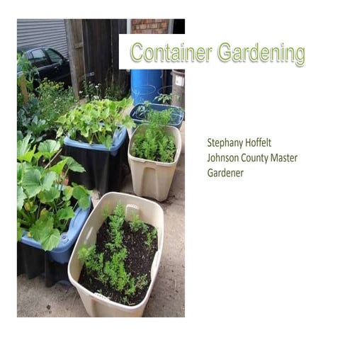 Container Gardening | PPTX