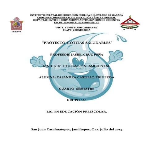 contaminación del agua potable: PROYECTO GOTITAS SALUDABLES | DOCX