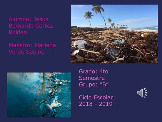 CONTAMINACIÓN DEL MEDIO AMBIENTE EN EL MUNDO.pptx