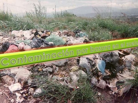 Basura orgánica e inorgánica .pdf