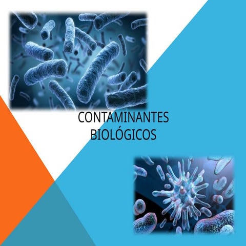 Contaminantes Biológicos y u importancia mundial | PPT