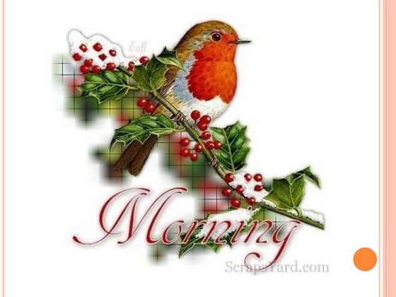 Dry socket | PPTX | Dental Health | Diseases and Conditions