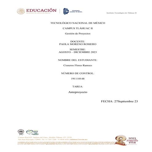 Gestión de Proyectos | DOCX | Technology & Computing