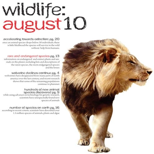 Magazine Content Page | PDF