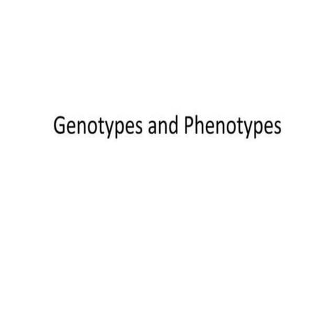 Genotypes: Genetic makeup of an organism | PPT