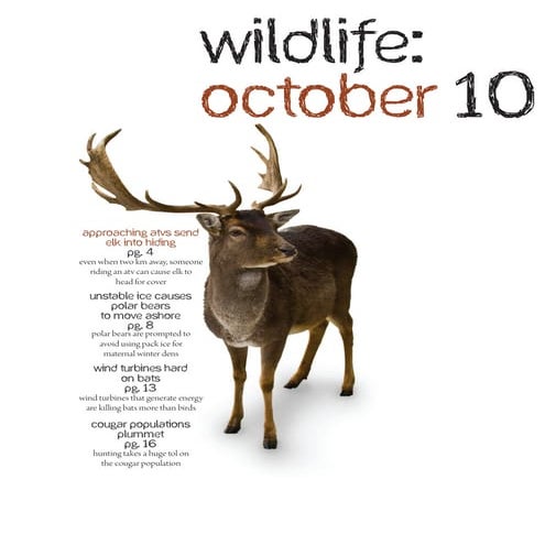 Magazine Content Page | PDF