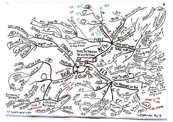 Mind maps pathology skin | PPT