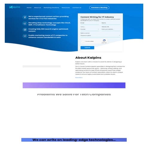 Content Writing for IT Industry.pdf