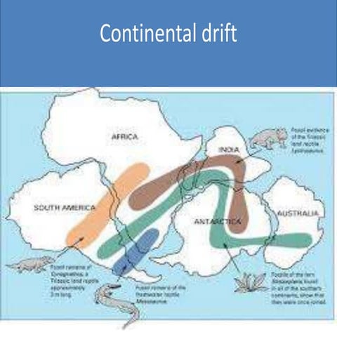 Continental drift | PPTX | Geology | Science