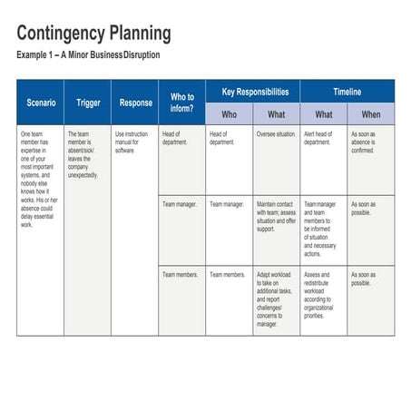 Contingency Plan Template | PDF