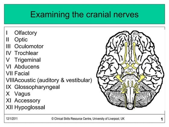Examination of Lower Limbs | PPT